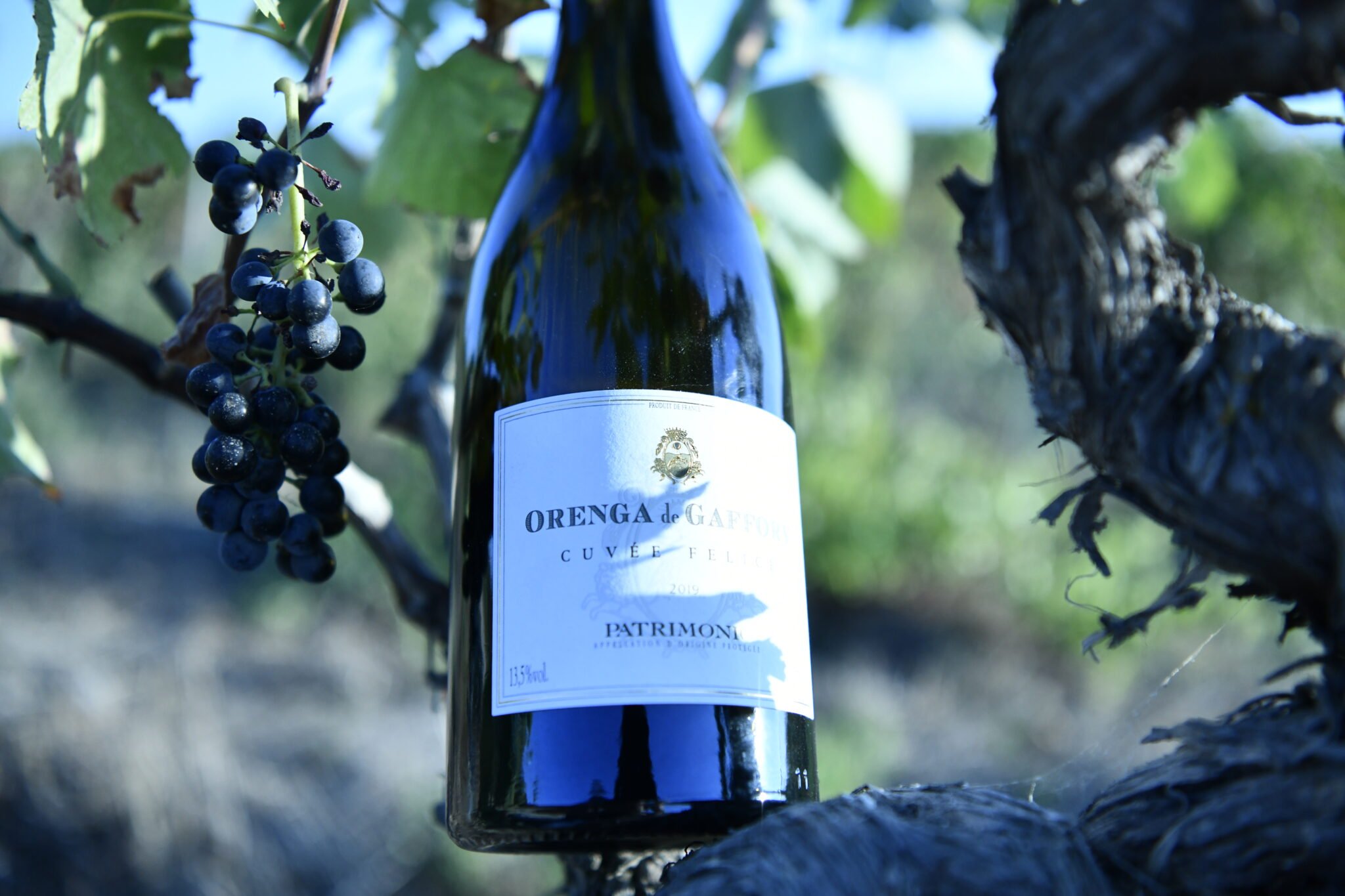 Orenga de gaffory cuvée felice rouge - Vin AOP Corse - Tiramiland